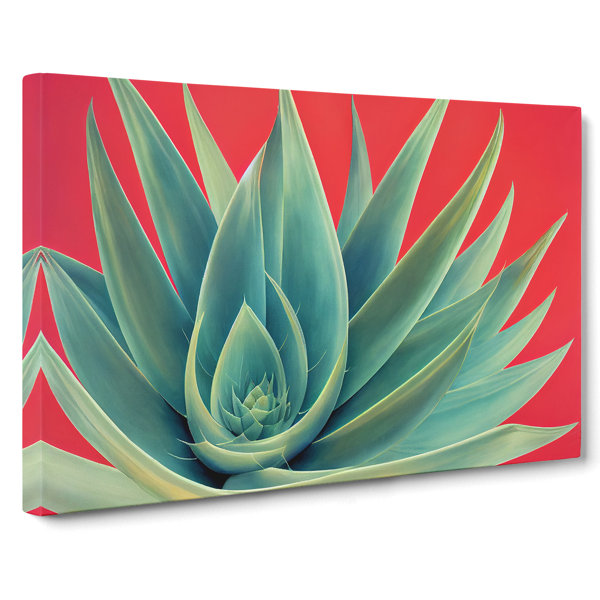 World Menagerie Spellbinding Aloe Vera Plant - Wrapped Canvas Painting ...