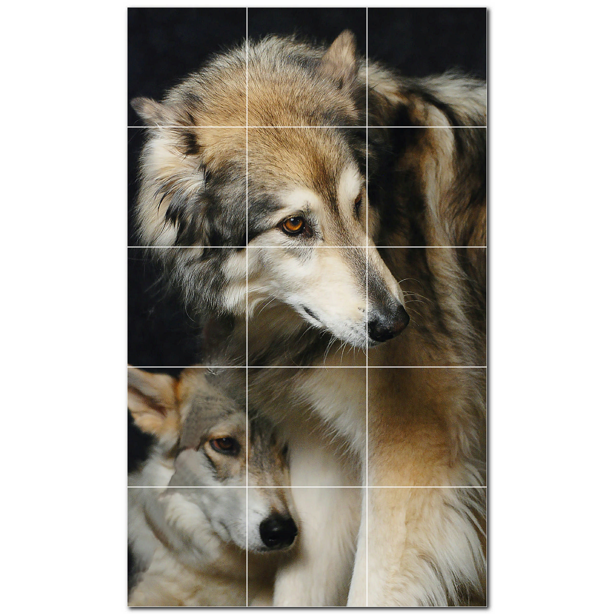 Picture-Tiles.com 18" x 30" Ceramic Wolf Photo Decorative Mural Tile ...