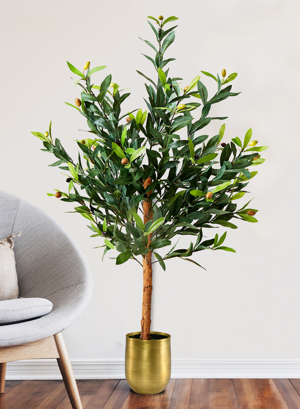 Fleur De Lis Living Olive Tree in Pot & Reviews - Wayfair Canada