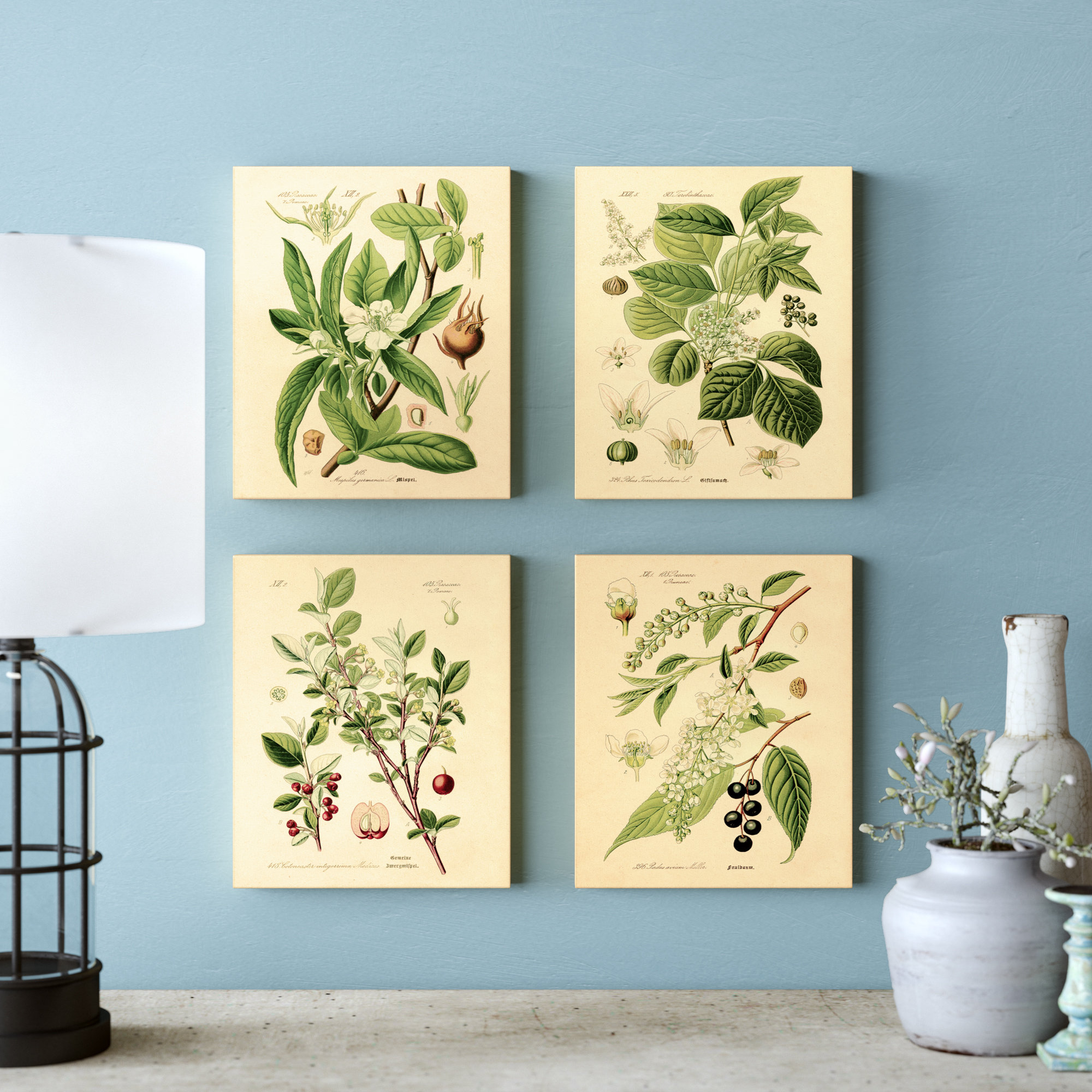 Gracie Oaks 'Popular Old-Fashioned Plant Botanical' 4 Piece Graphic Art ...