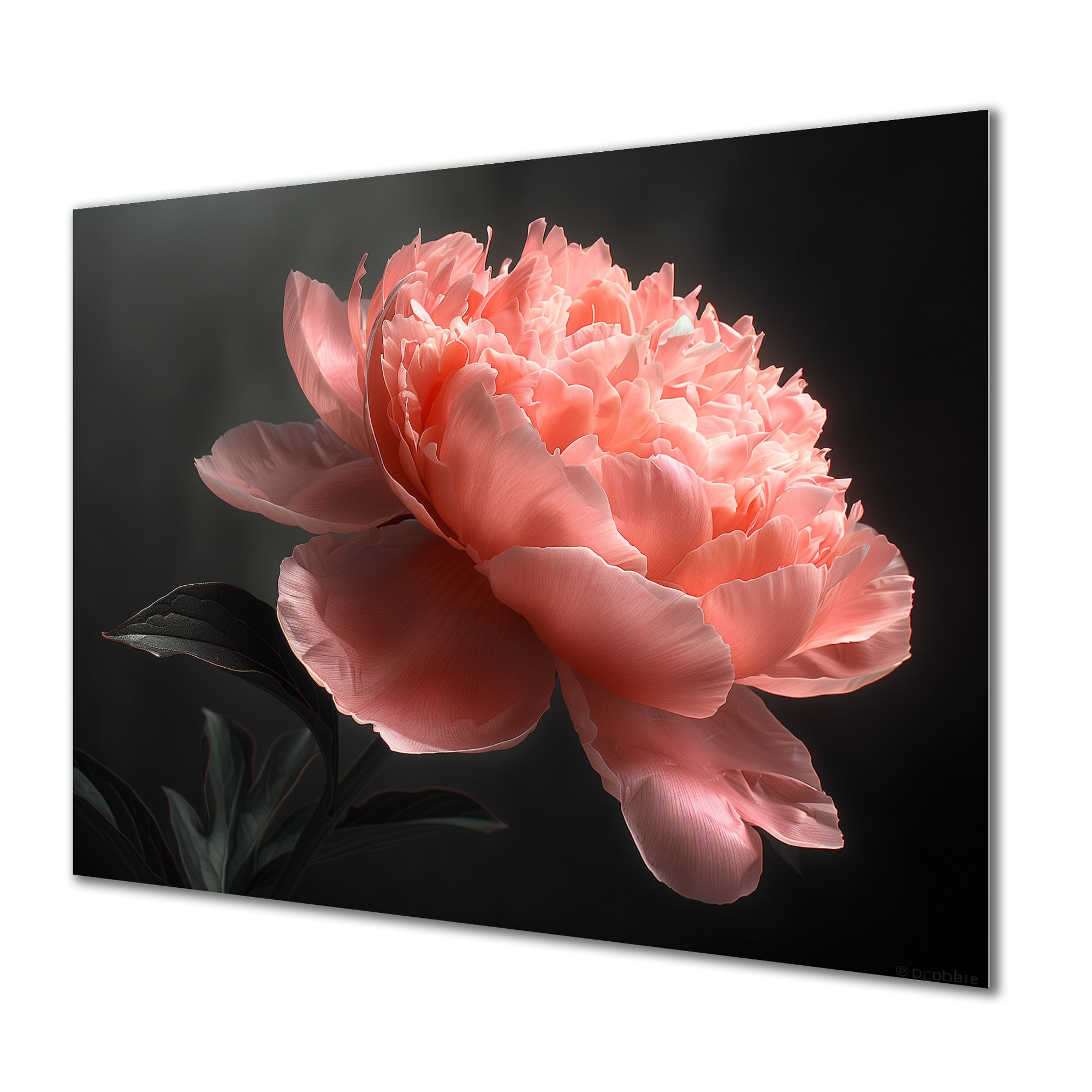 Ebern Designs Romantic Pink Crystal Peonies Bloom IV - Peonies Wall ...