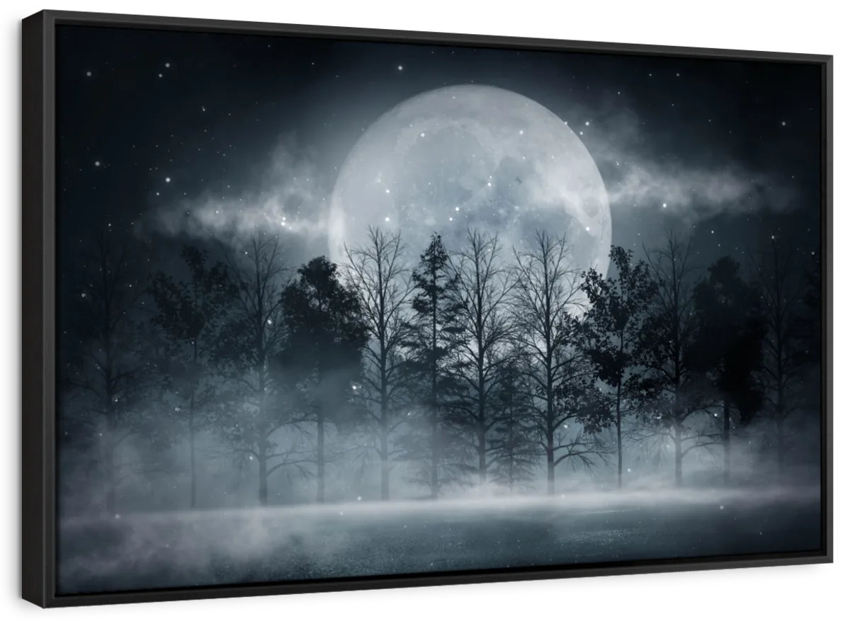 Loon Peak® " Dark Forest Moonlight Wall Art " | Wayfair