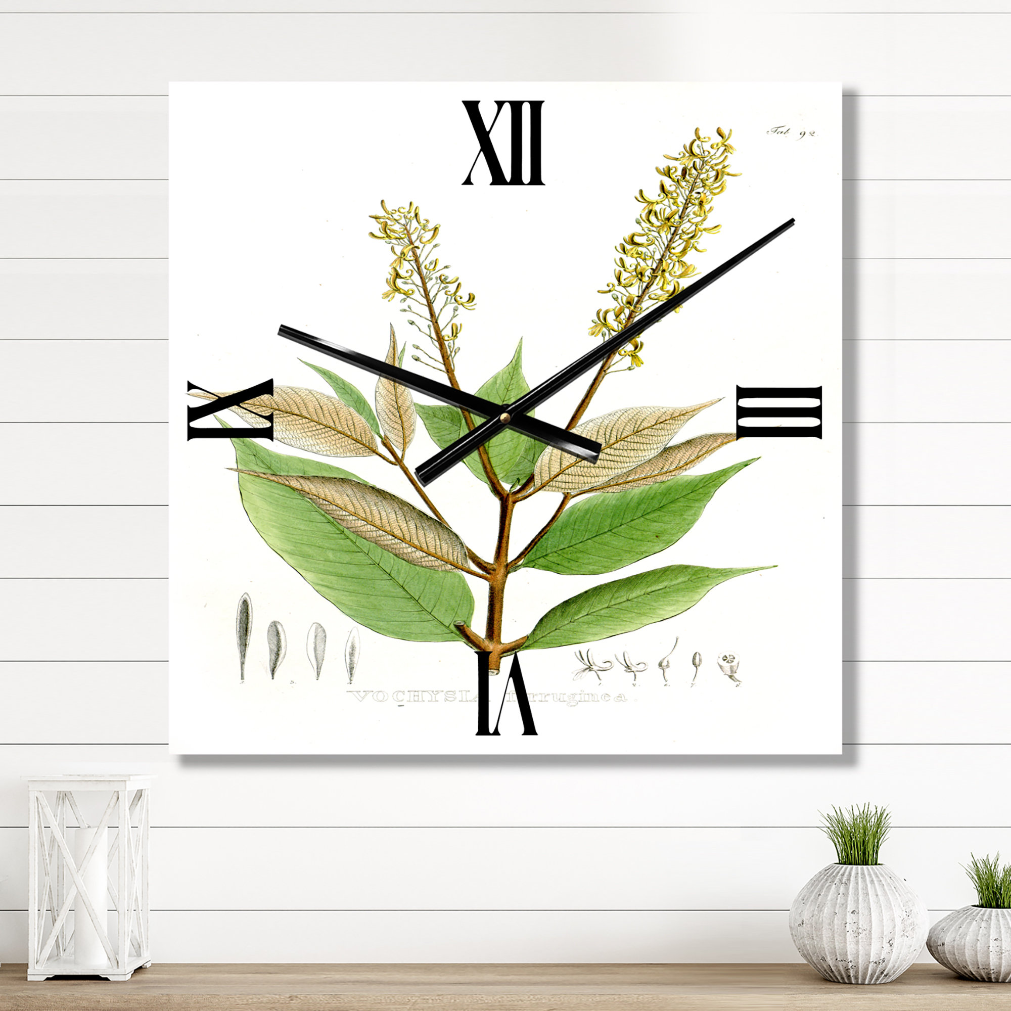 East Urban Home Vintage Brazilian Plant V - Traditional Wall Clock ...