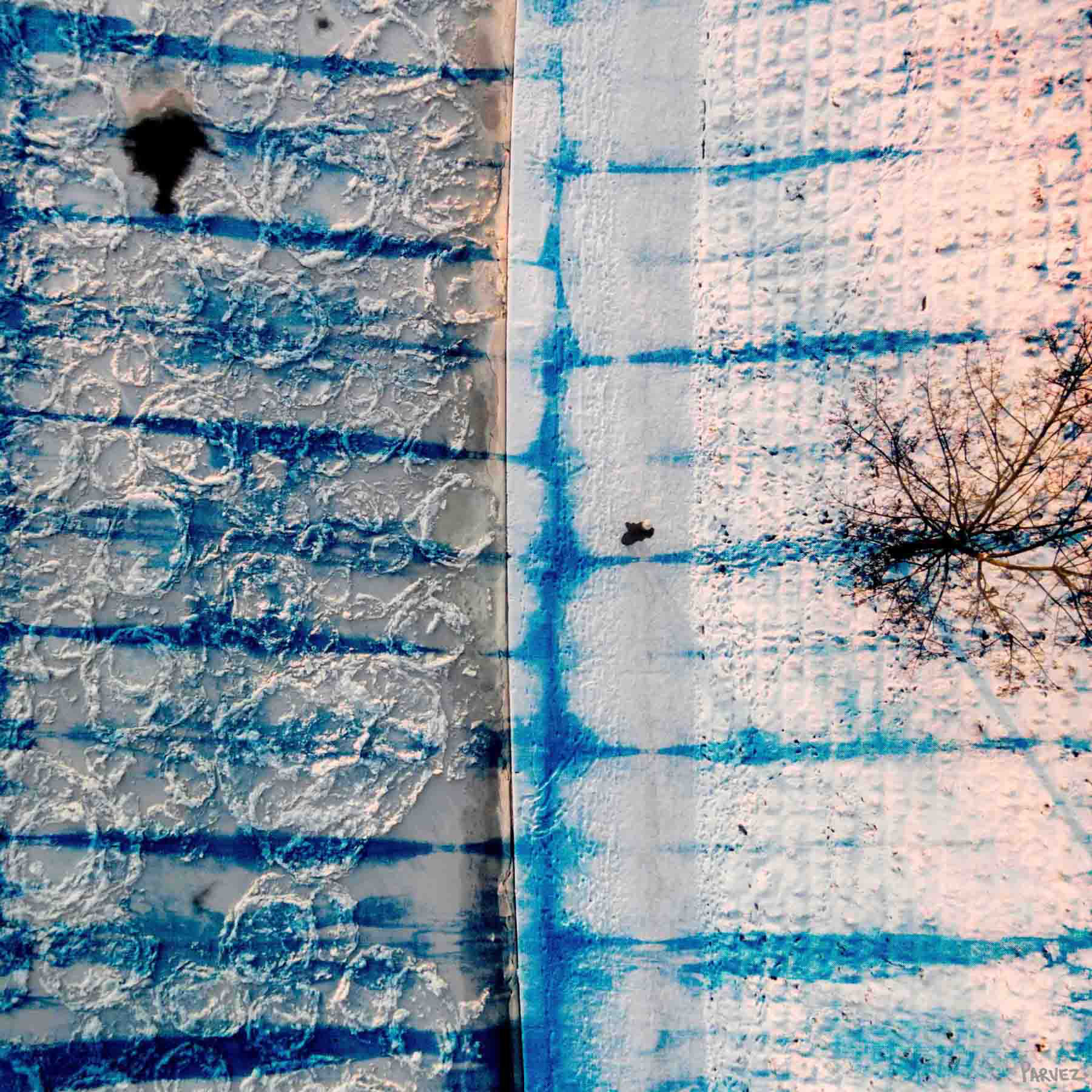 Parvez Taj 'Changing Landscape' by Parvez Taj Painting Print on Wrapped ...