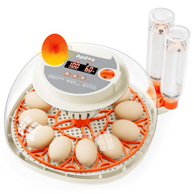 duck eggs hatching temperature