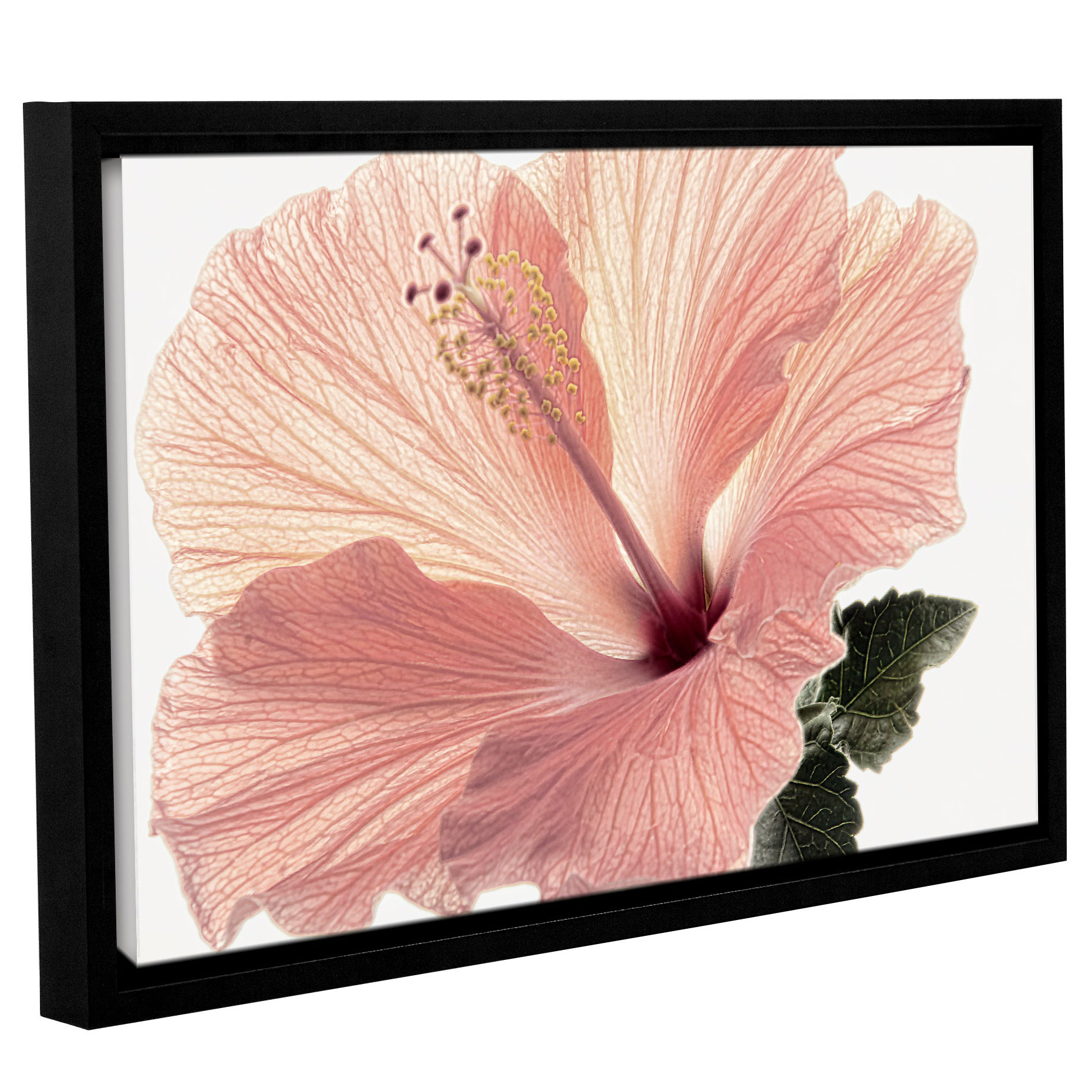 Bay Isle Home™ 'Wide Open' Framed Graphic Art - Wayfair Canada