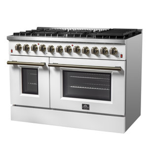 Dual Fuel Ranges You'll Love | Wayfair