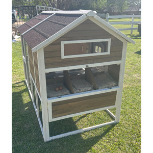 Zylina 24 Square Feet Chicken Coop with Nesting Box For Up To 8 ...