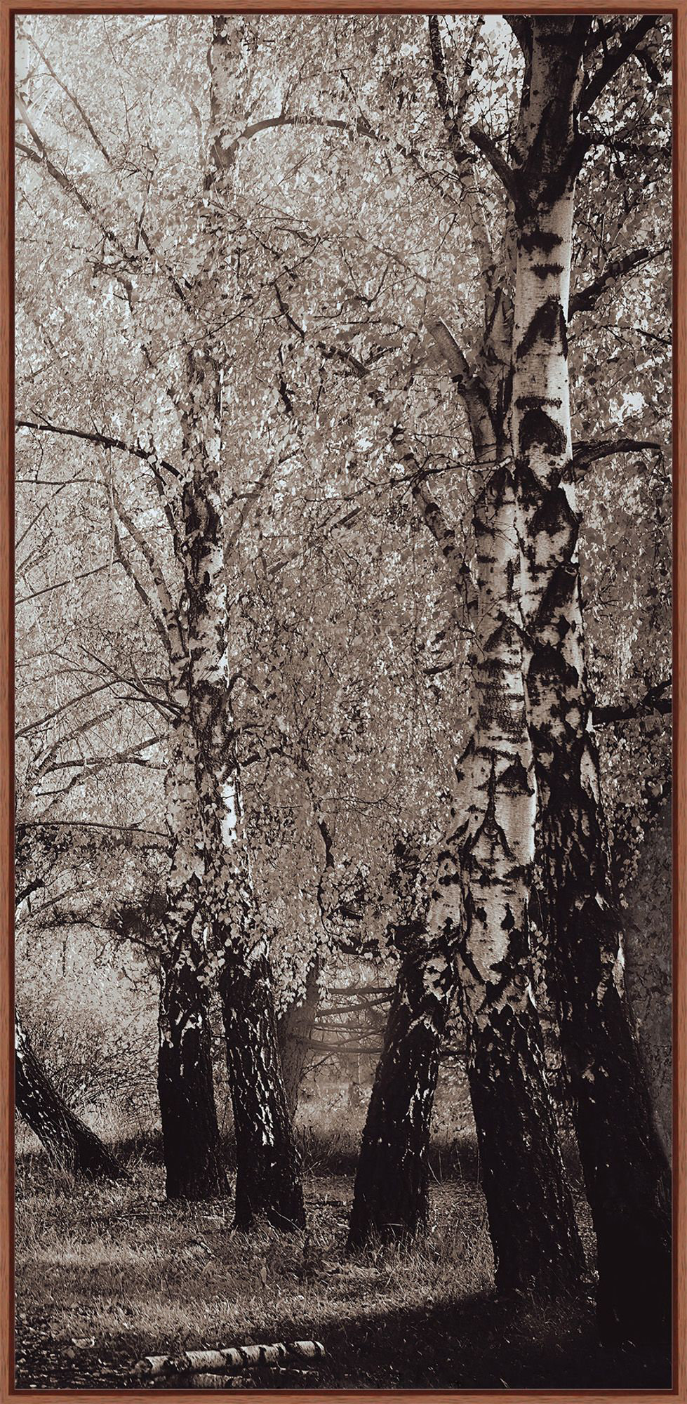 Wendover Art Group Oak Path Triptych C | Wayfair