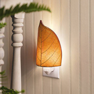 Eangee Home Design Leaf Night Light & Reviews | Wayfair