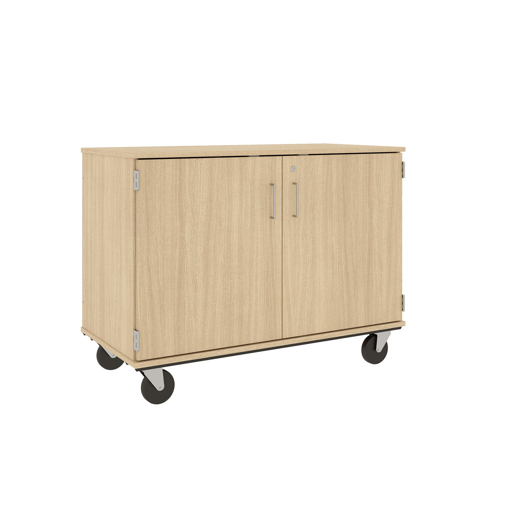 Stevens ID Systems Classroom Cabinet with Trays - Wayfair Canada