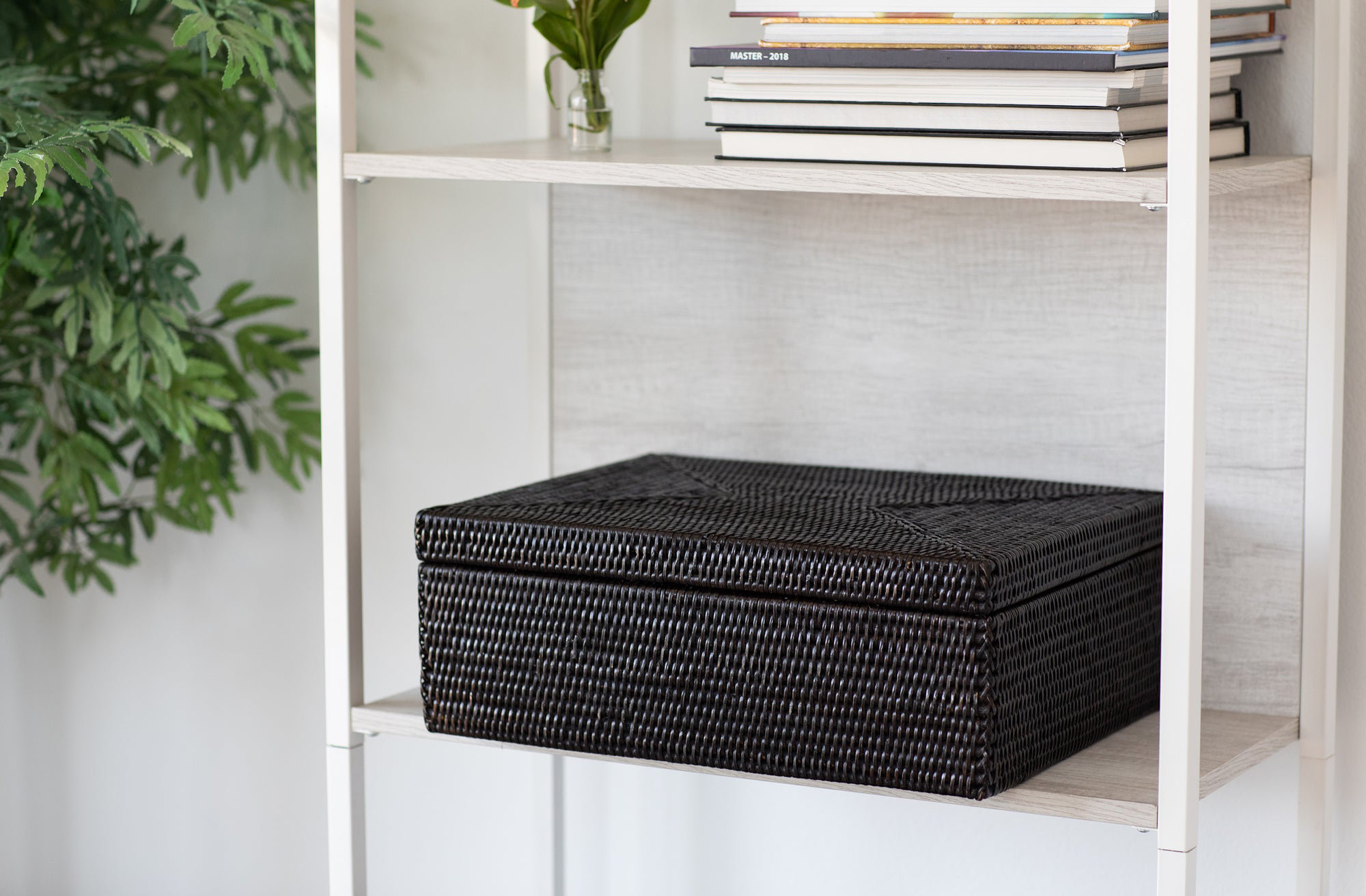 Birch Lane™ Rattan Basket & Reviews - Wayfair Canada