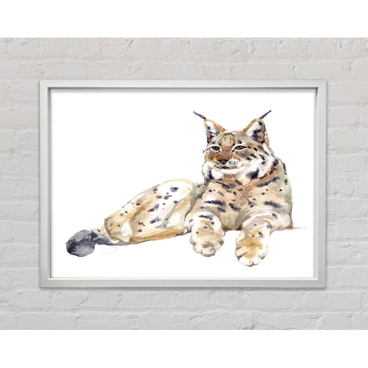 Bright Star Lynx Laying Down - Single Picture Frame Art Prints on ...