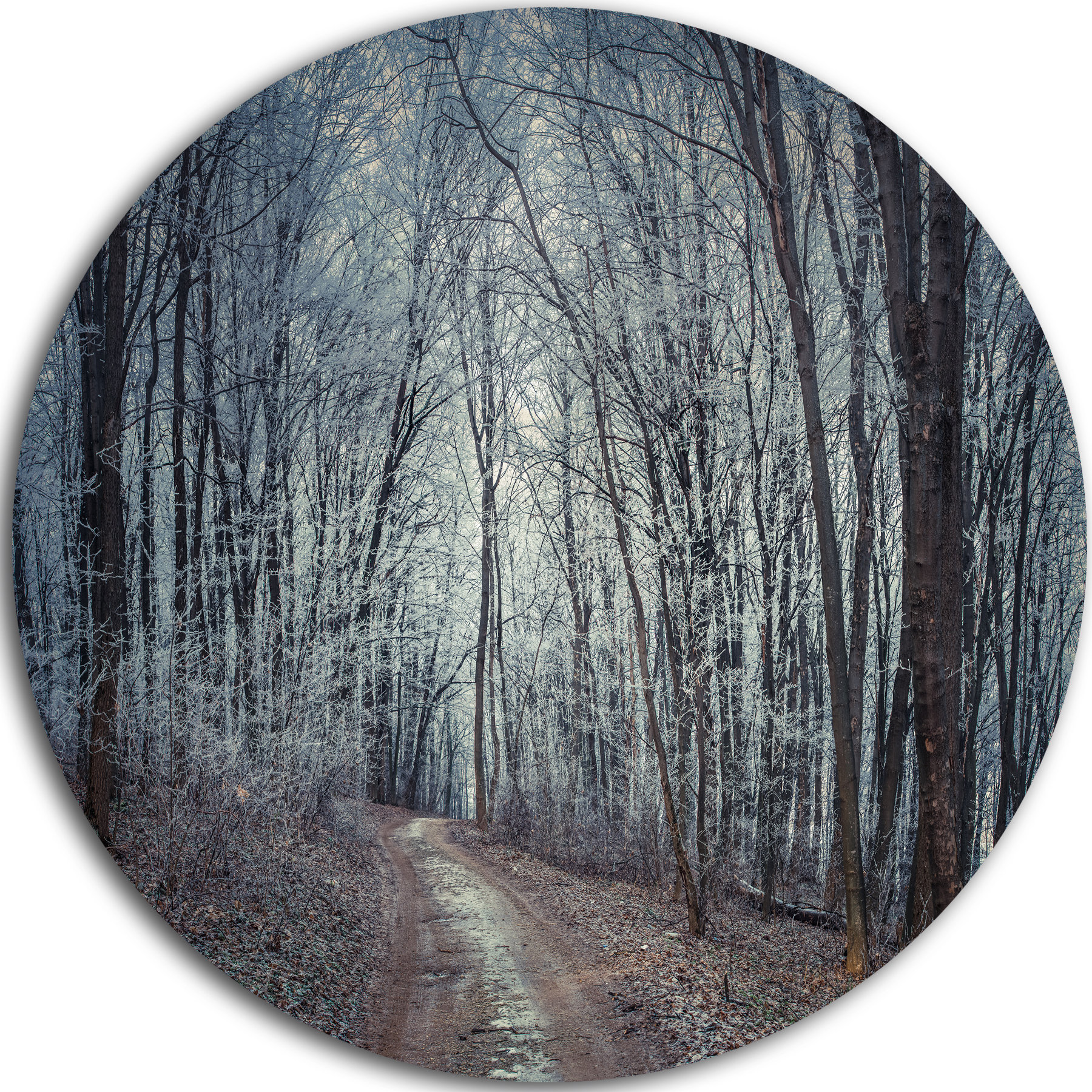 Design Art 'Dense Gray Fall Forest Path' Photographic Print on Metal ...