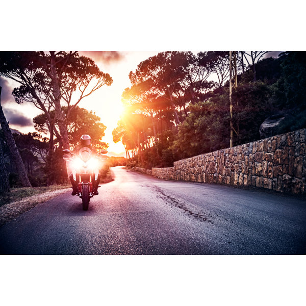 Latitude Run® Amorian Motorcyclist Riding On Sunset On Canvas by Anna ...