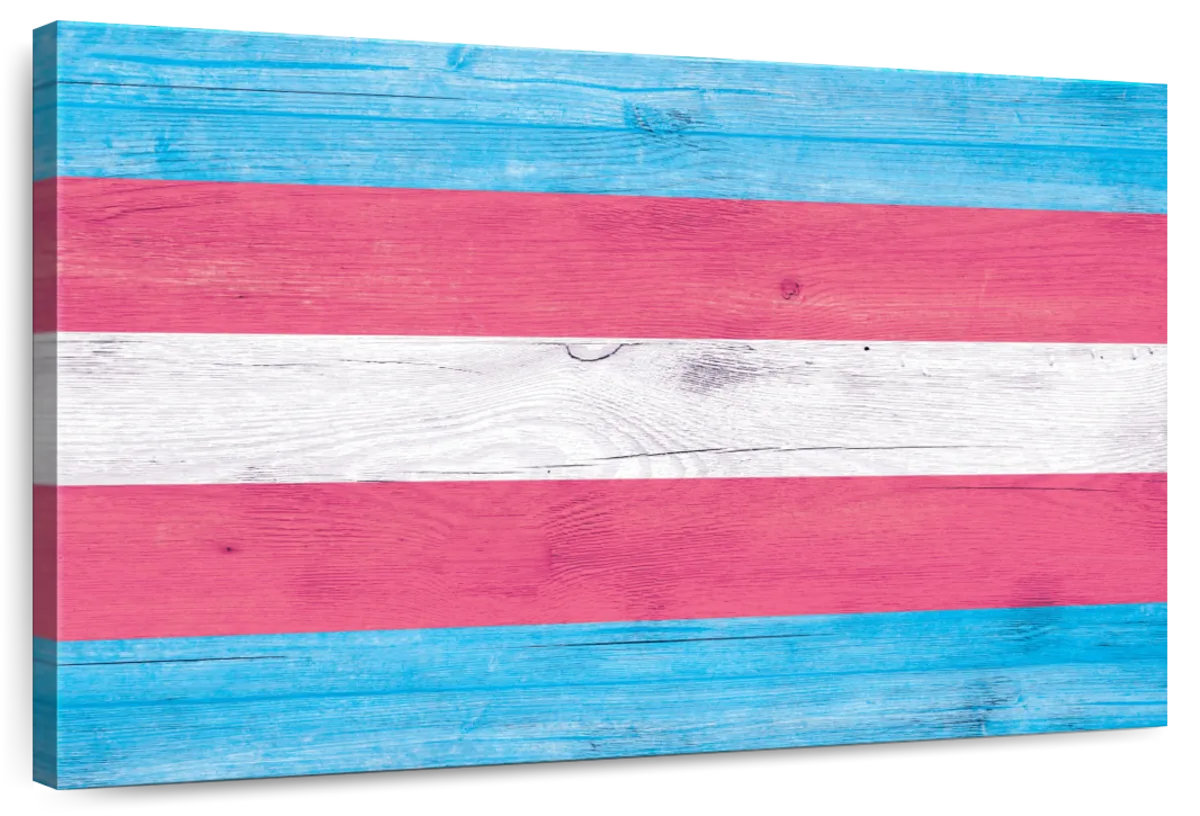 Trinx Khyir Pink Blue White | Wayfair