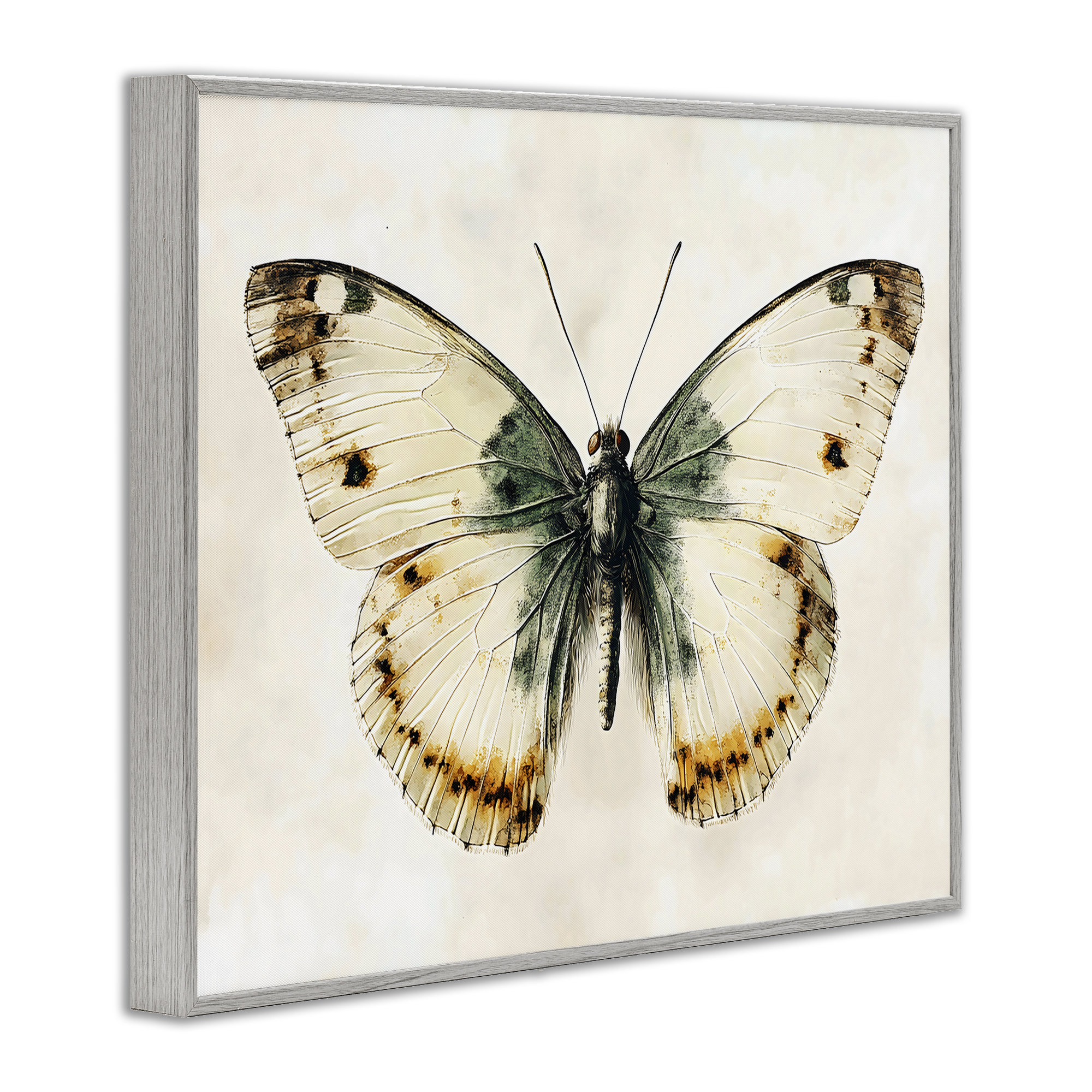 Hokku Designs Moth Study Symmetry Framed Giclee, design by Creative ...