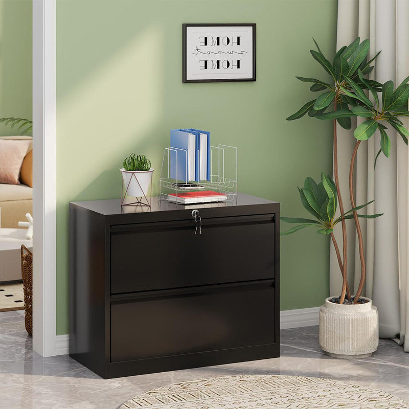 Latitude Run® Metal Filing Cabinet with 2 Drawers Home Office Locking ...