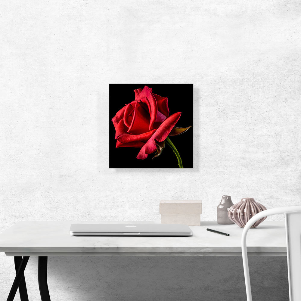 ARTCANVAS Red Rose Home Decor - Wrapped Canvas Photograph Print | Wayfair