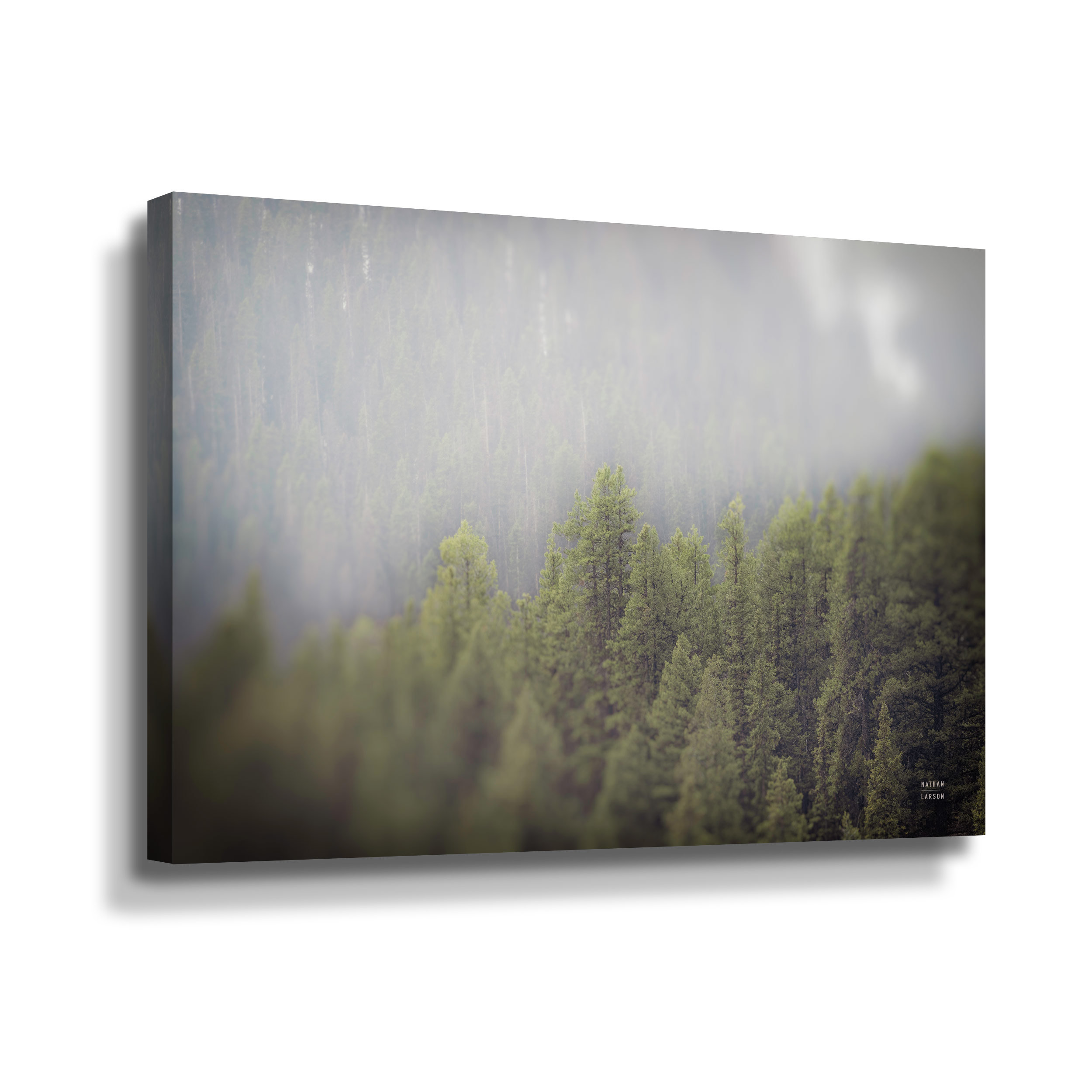 Millwood Pines Moaath Northern Forests - Print on Canvas | Wayfair