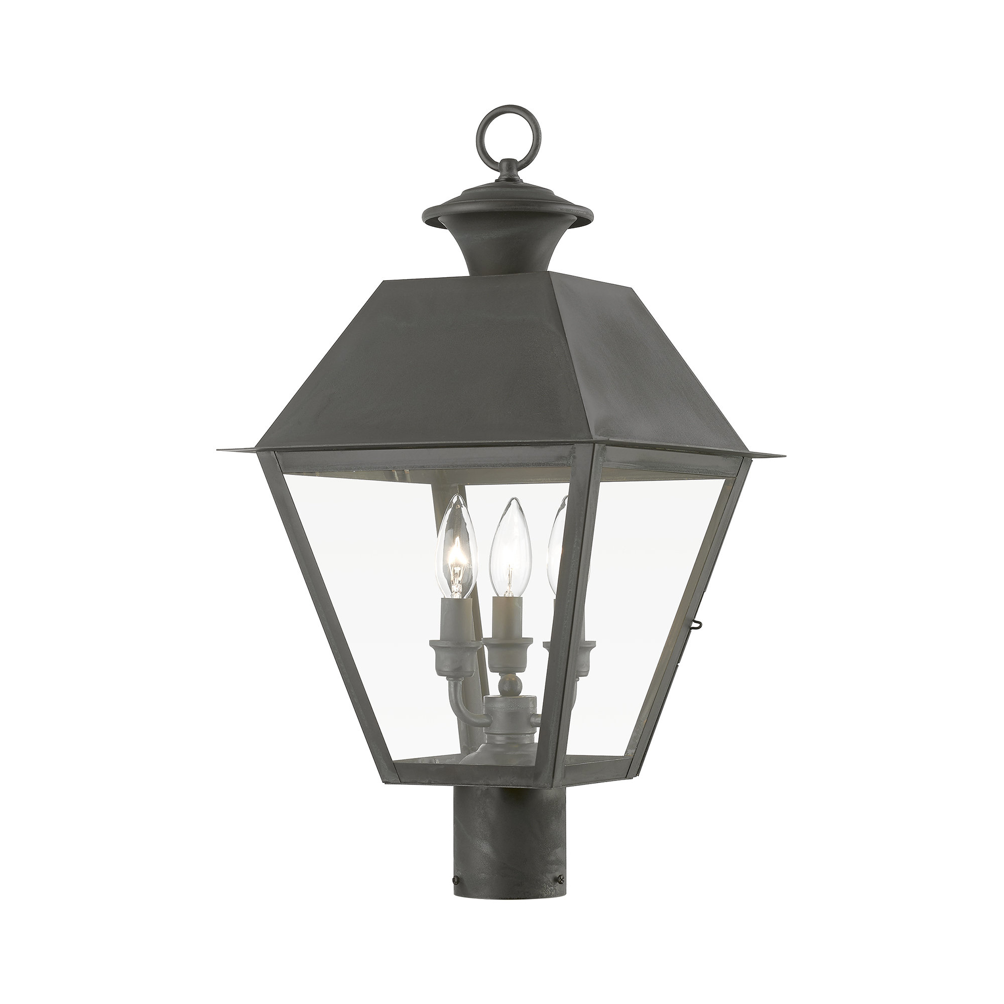 Canora Grey Florinel Transparent Lantern Head | Wayfair