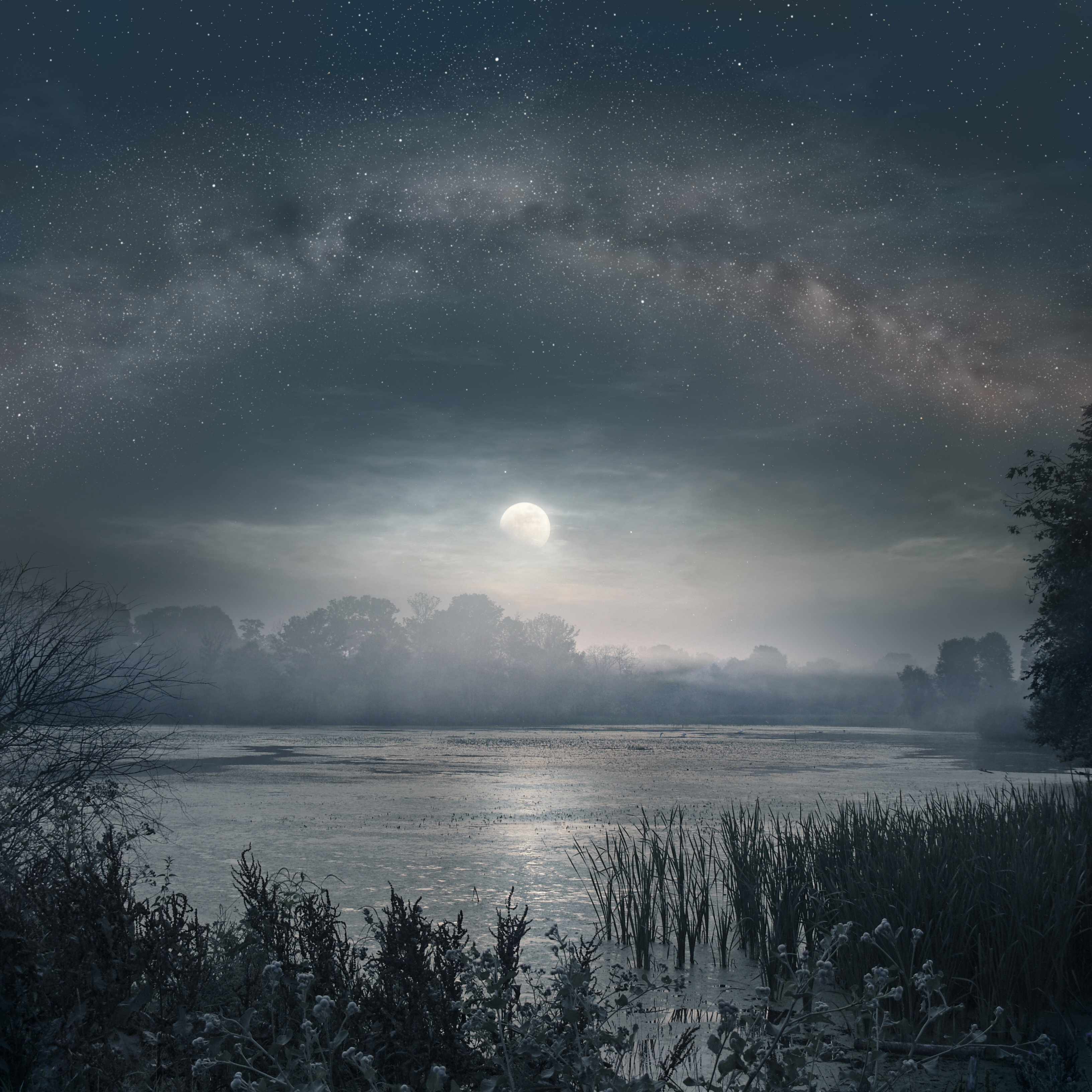 Millwood Pines Moon over Pond by Rastan - Wrapped Canvas Photograph ...