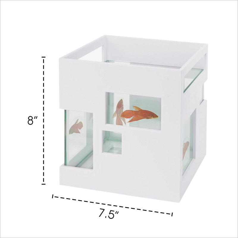 Umbra Square 2 Gallons Aquarium Tank & Reviews | Wayfair