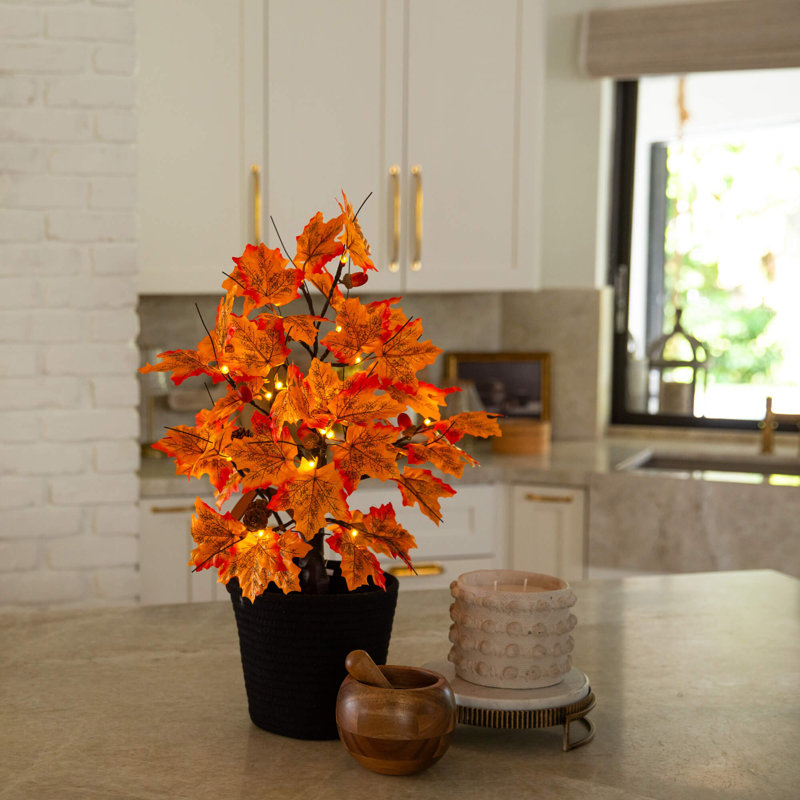 Ophelia & Co. 2Ft. Pre-Lit Autumn Maple Artificial Fall Tree With ...