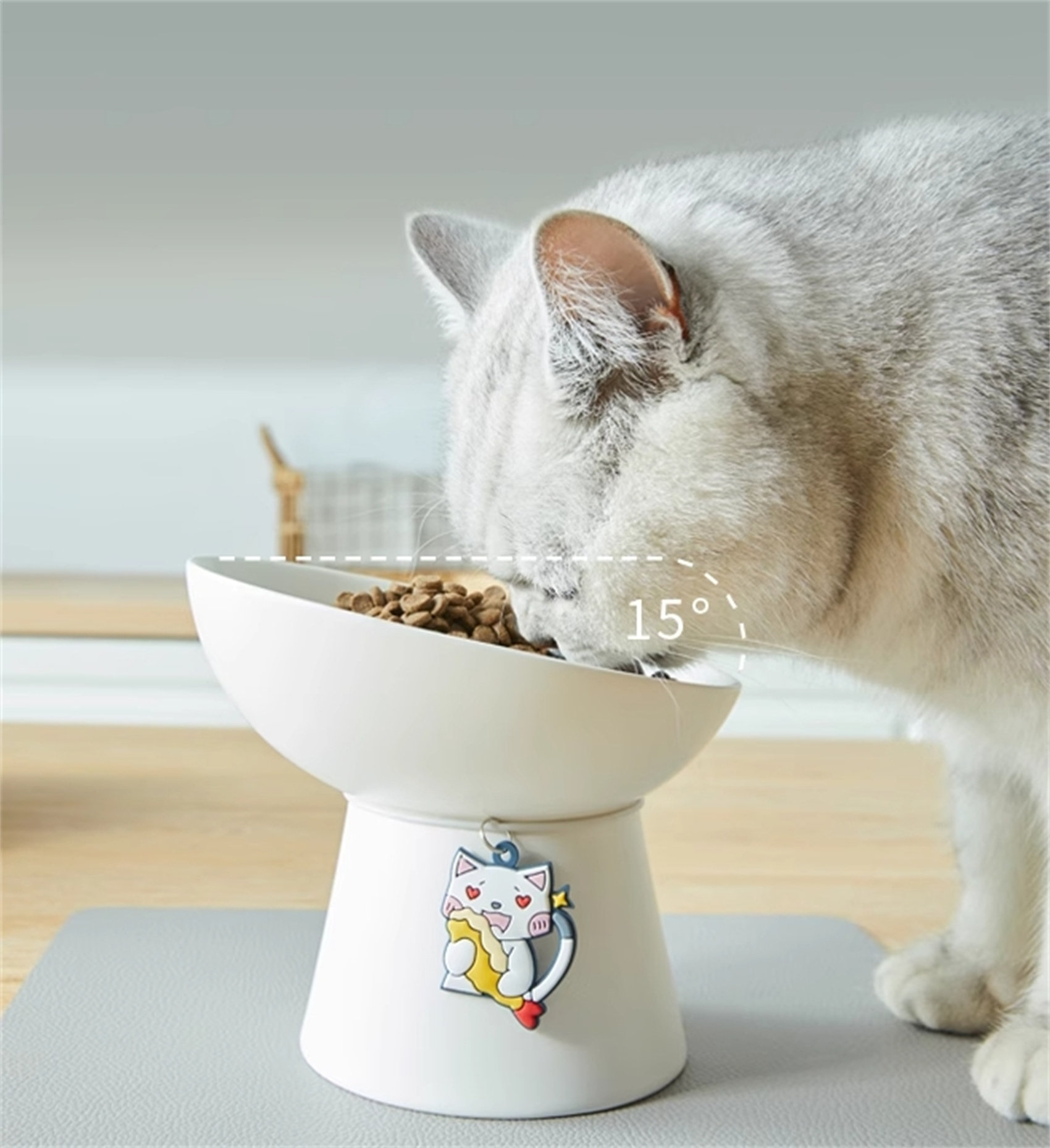 UMMA, LLC Ceramic Elevated Pet Bowl for Cats and Small Dogs | Wayfair
