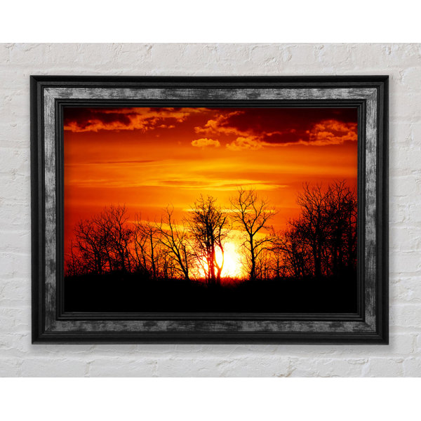 Bright Star Orange Sunset Treeline - Single Picture Frame Print ...