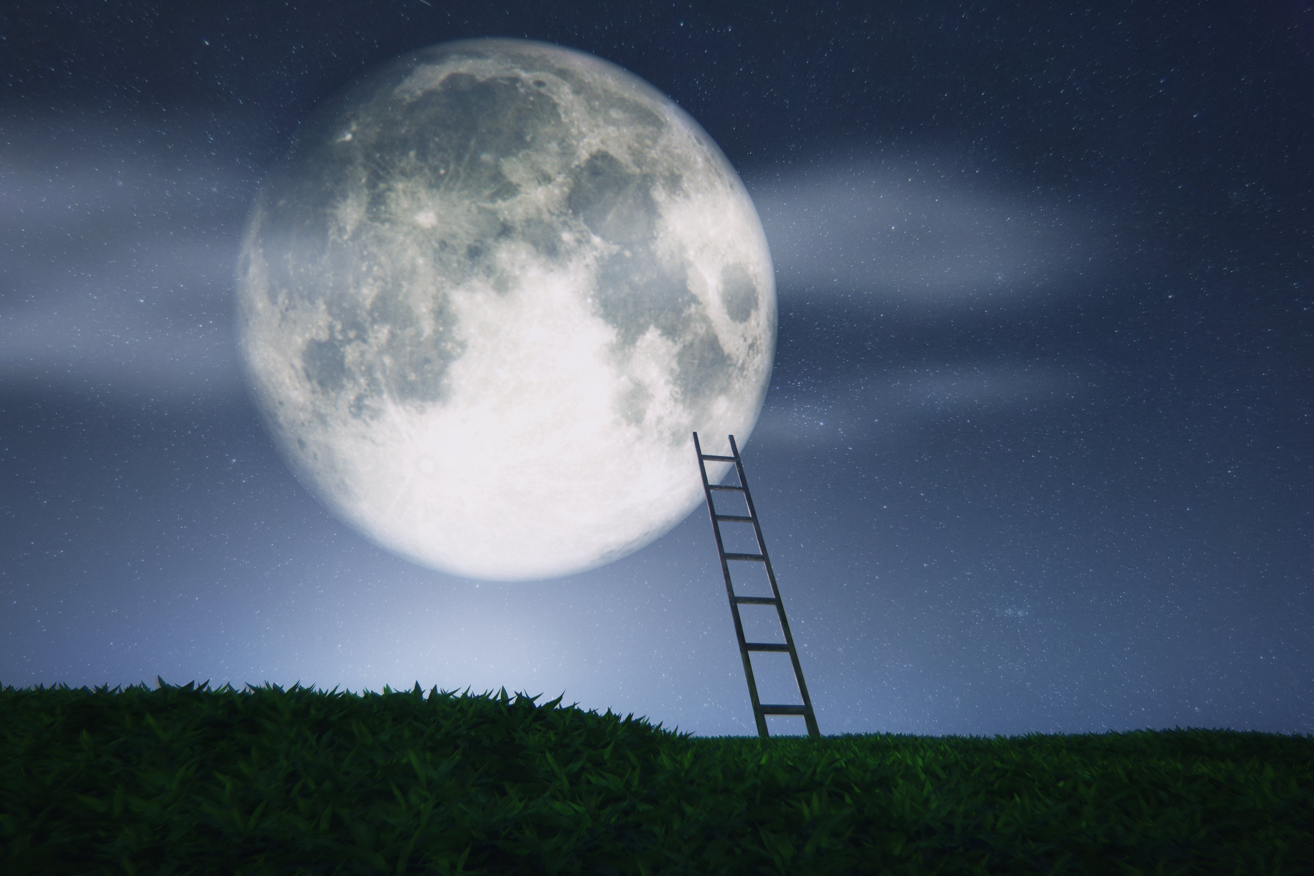 17 Stories Ladder To The Moon by Gremlin - Print | Wayfair.co.uk