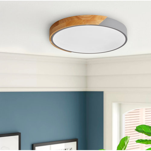 Modern & Contemporary Flush Mount Lighting | Wayfair