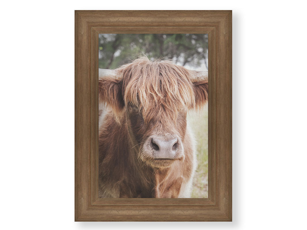 Latitude Run® Highland Portrait by Kelly Wade. Paper Print - Mounted ...