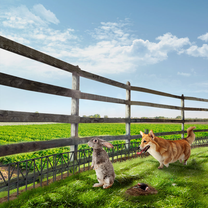EFPerfect 15'' H x 24'' W Animal Anti-digging Barrier Fence Rustproof ...