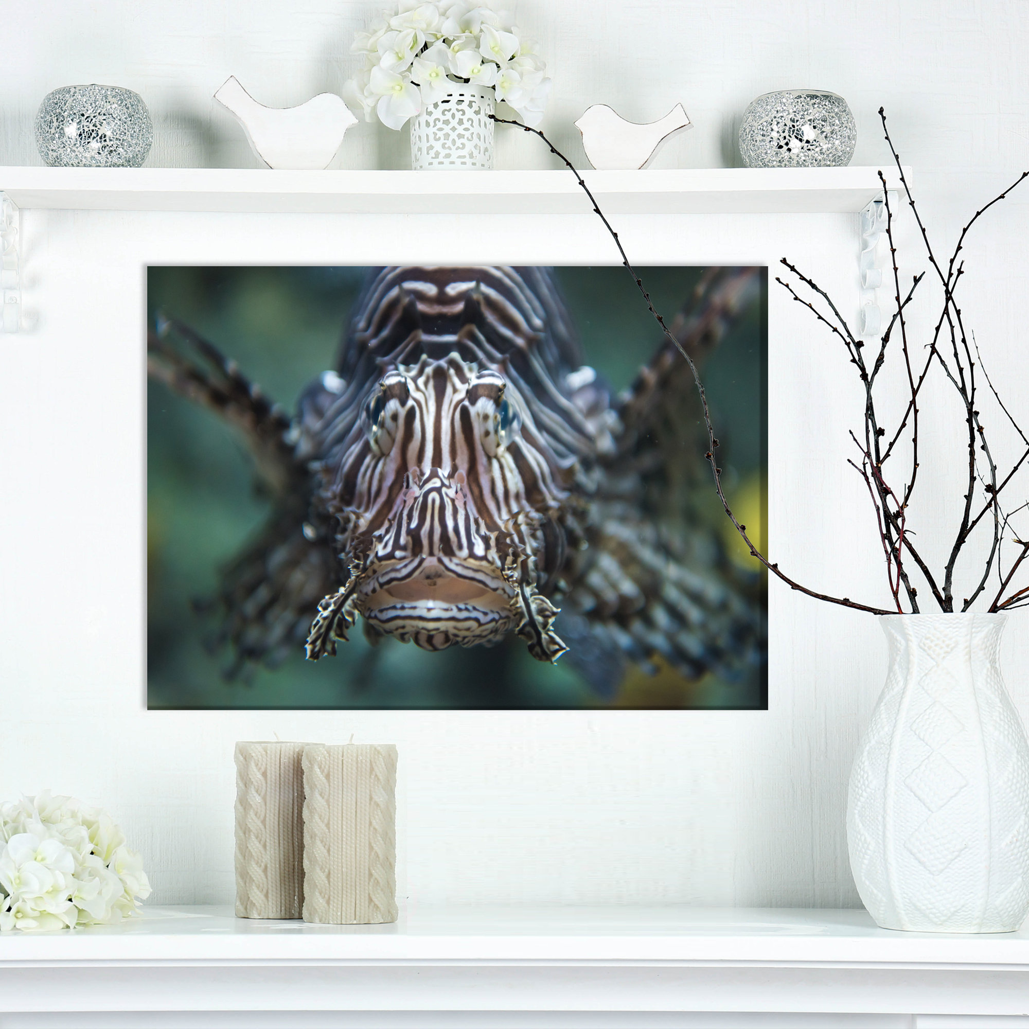 East Urban Home Common Lionfish Yawn Pterois Miles - Wrapped Canvas ...