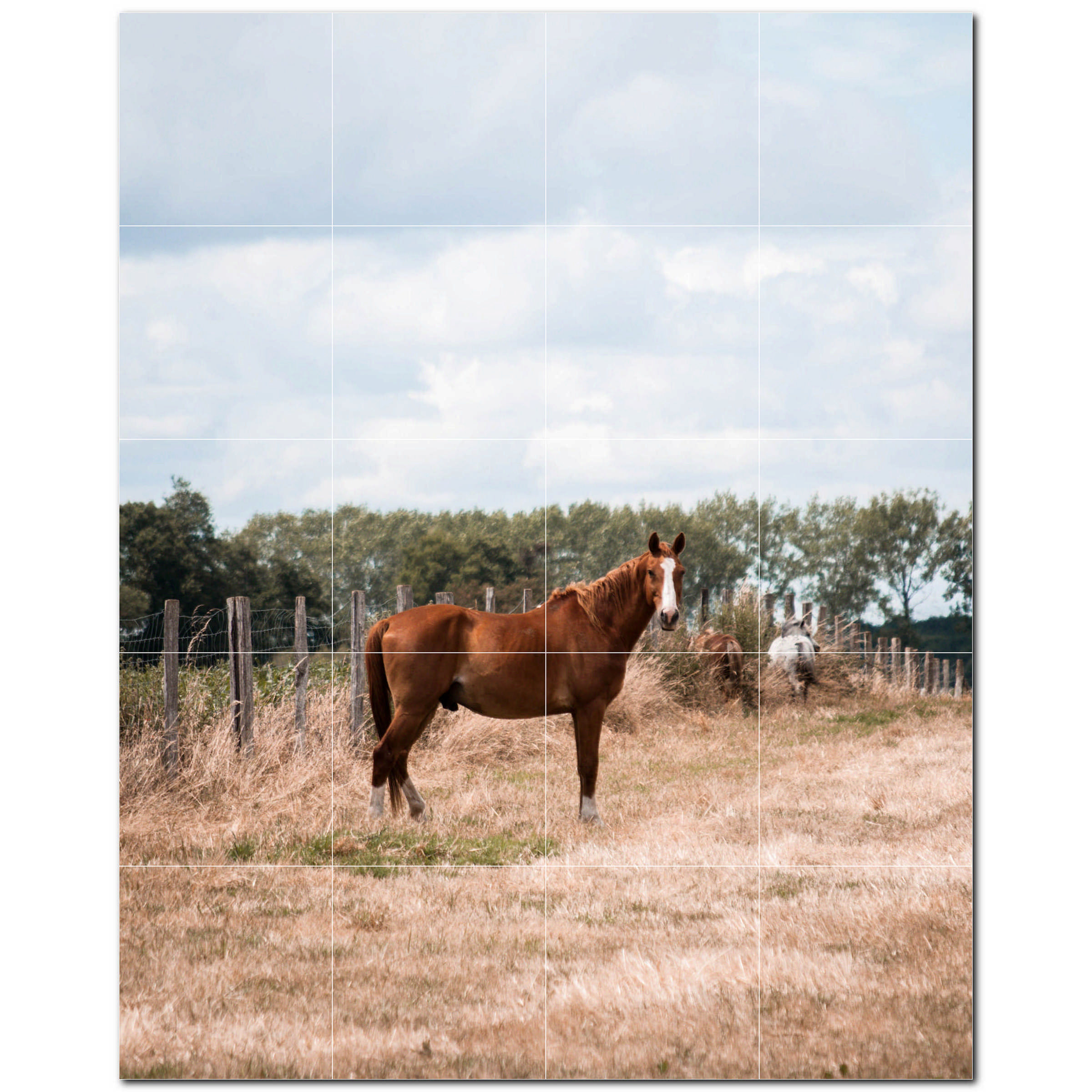 Picture-Tiles.com 40" x 24" Ceramic Farm Photo Decorative Mural Tile ...