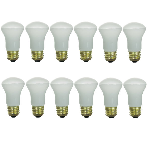 Sunlite 40 Watt R16 E26/Medium (Standard) Dimmable 2600K Incandescent ...