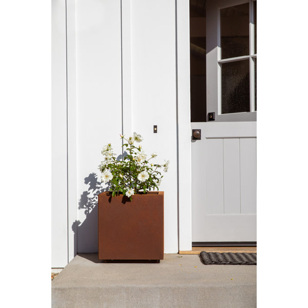 Corten Steel Series Cube Planter Box & Reviews | AllModern