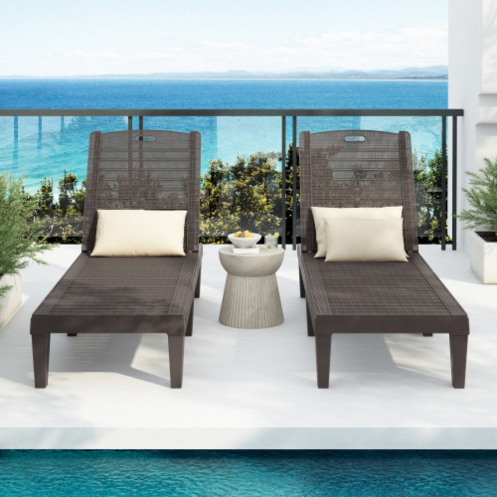 Ivy Bronx 2-Piece Outdoor Chaise Lounge Set - Adjustable Resin Poolside ...