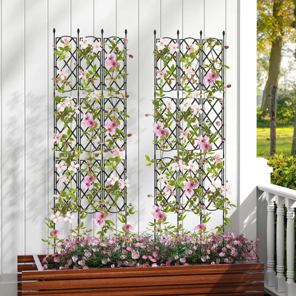 Winston Porter 2 Pcs Garden Trellis For Climbing Plants Rustproof Metal ...
