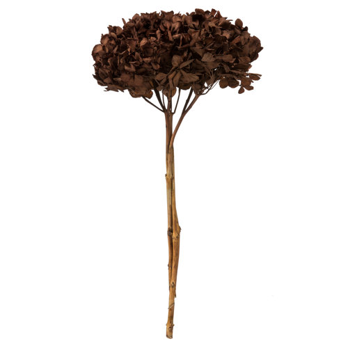 Primrue Natural Botanicals 15" Hydrangea with Multiple Branch Segments ...