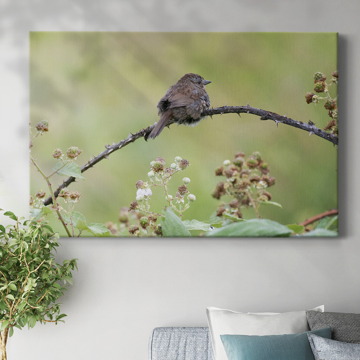 Latitude Run® Resting Sparrow-Gallery Wrapped Canvas | Wayfair