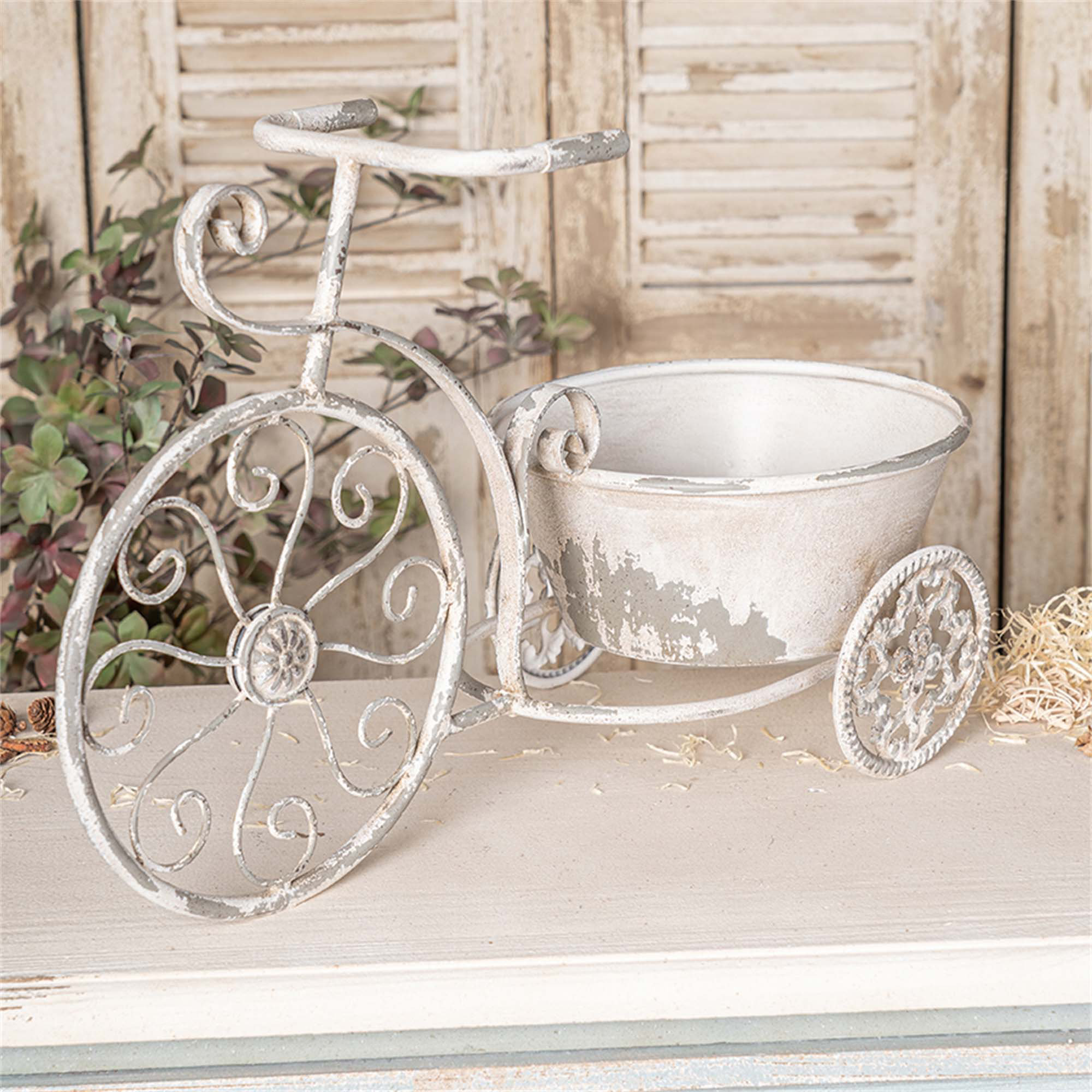 Ophelia & Co. Rustic Metal Wire Bicycle Planter Basket for Home and ...