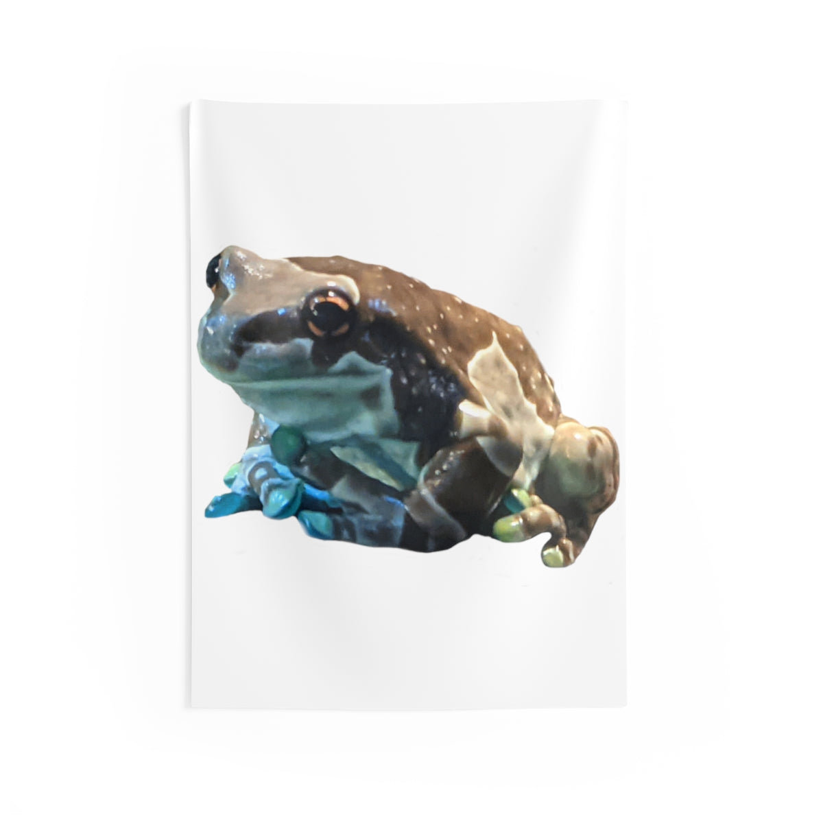 Marick Booster Toad Indoor Wall Tapestry | Wayfair