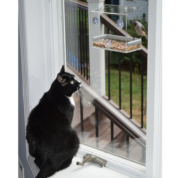 PetFusion Tranquility Window Tray Bird Feeder & Reviews | Wayfair