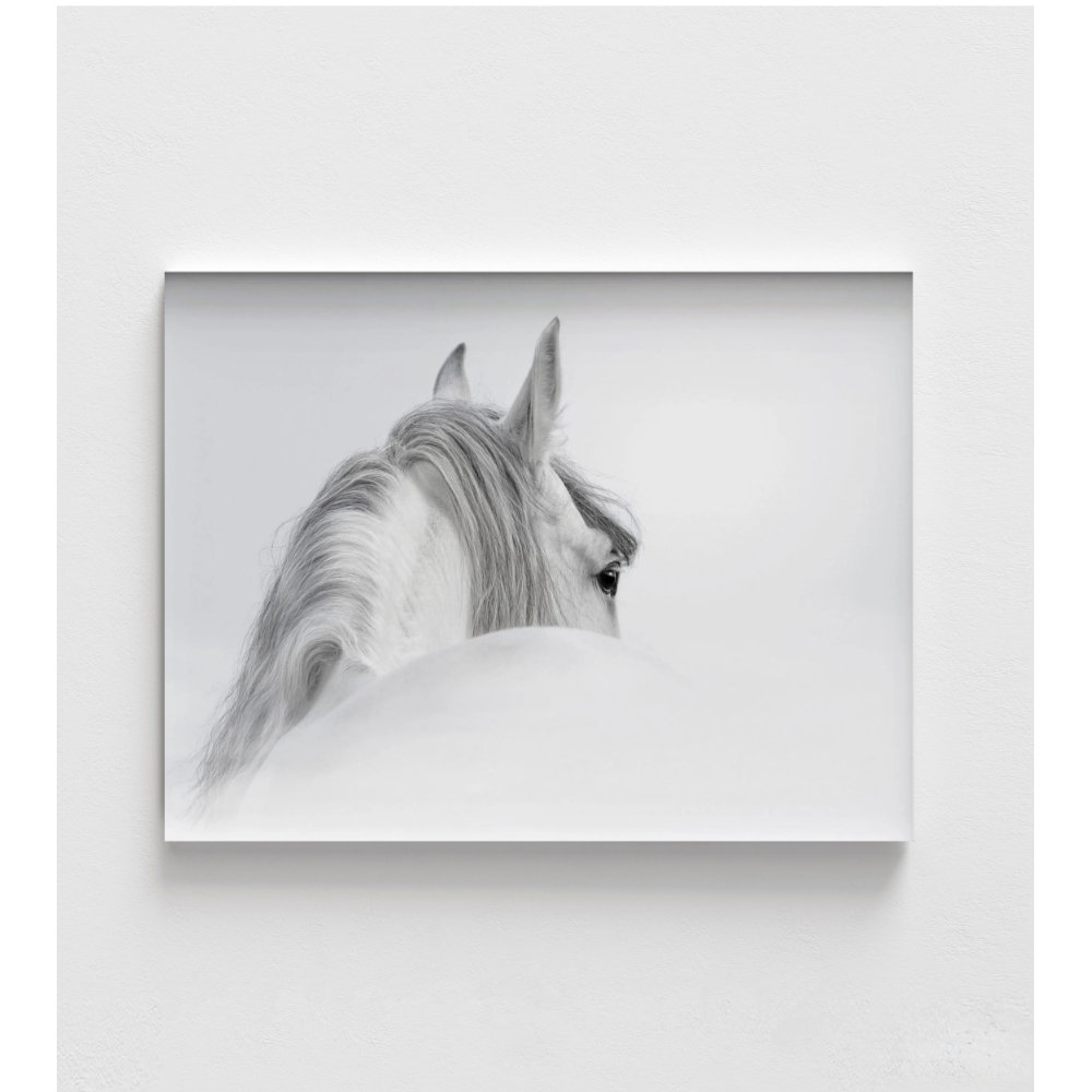 WeFrameArt Black And White Equestrian Photo Print, Framed Horse Wall ...