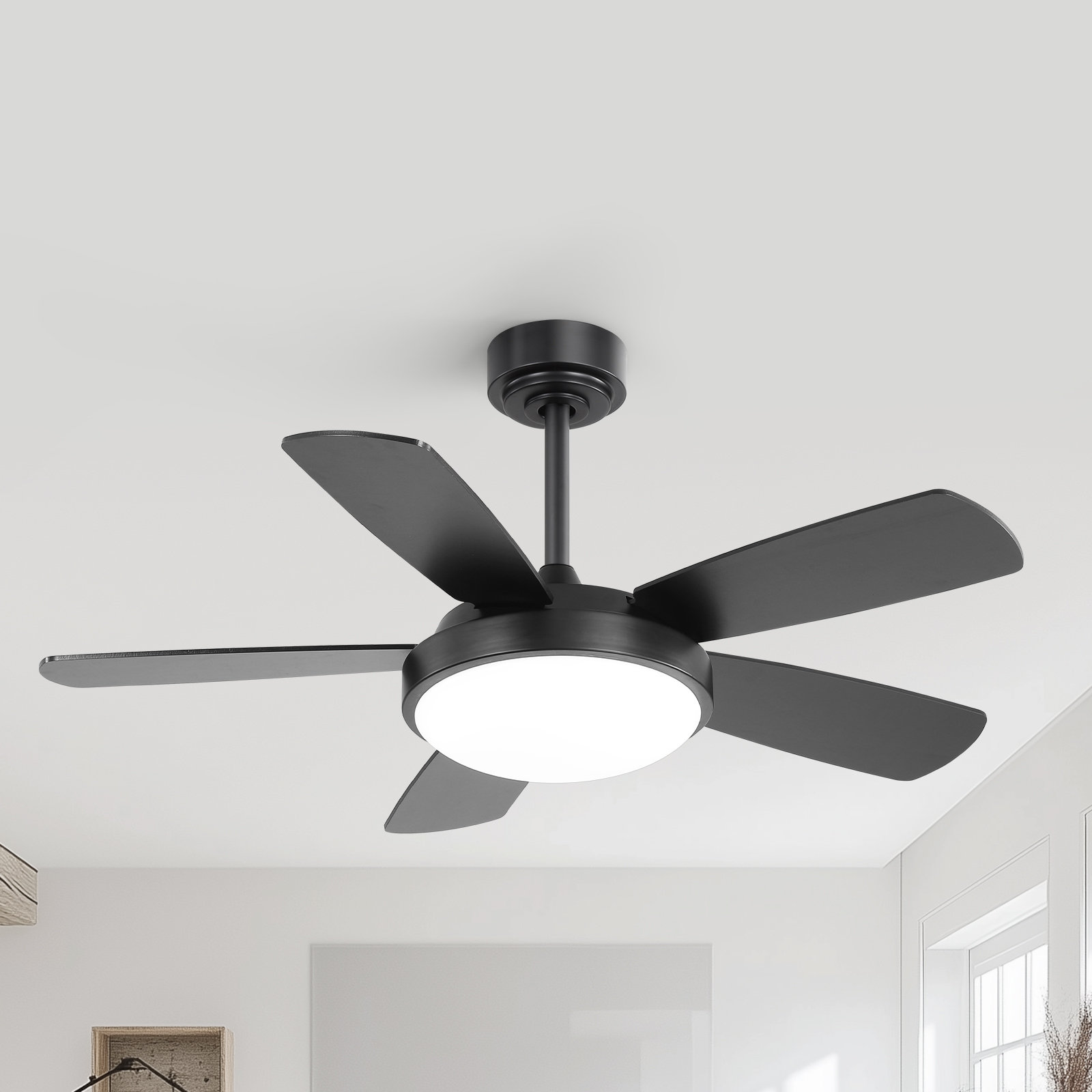 Ebern Designs 42" 5-Blade Modern Ceiling Fan With Tri-Colour LED Light ...