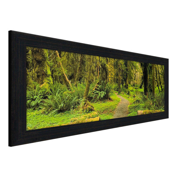 Millwood Pines Road Through Temperate Rain Forest - Picture Frame ...