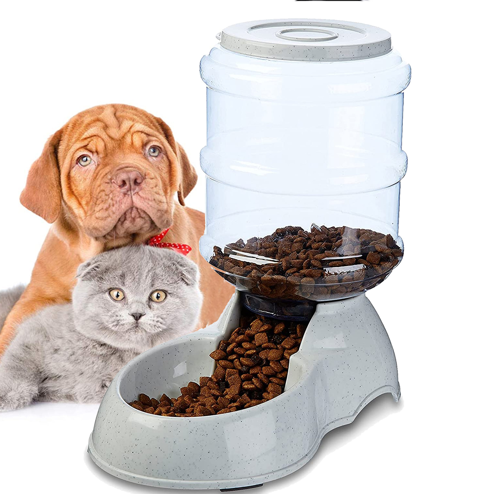 OAK DECOR BLAZE Gravity Small Automatic Feeder - Wayfair Canada