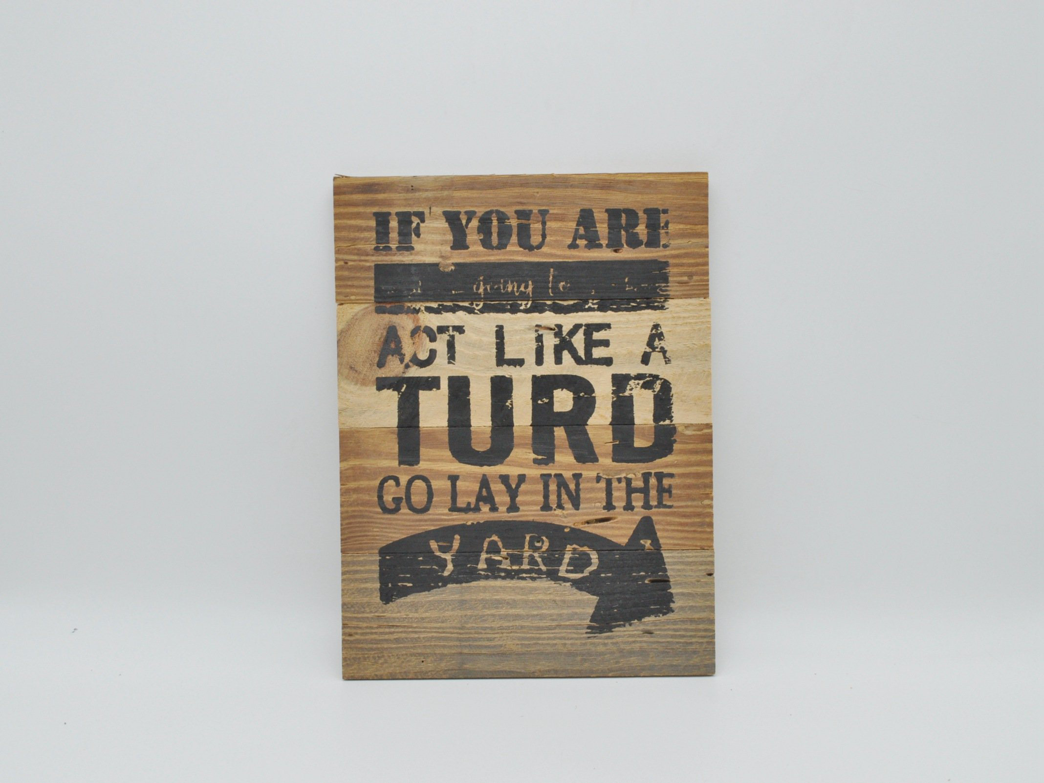 Ebern Designs Turd Wall Décor - Wayfair Canada